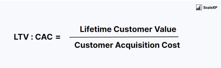 SaaS Metrics | Lifetime Value: Acqusition Costs